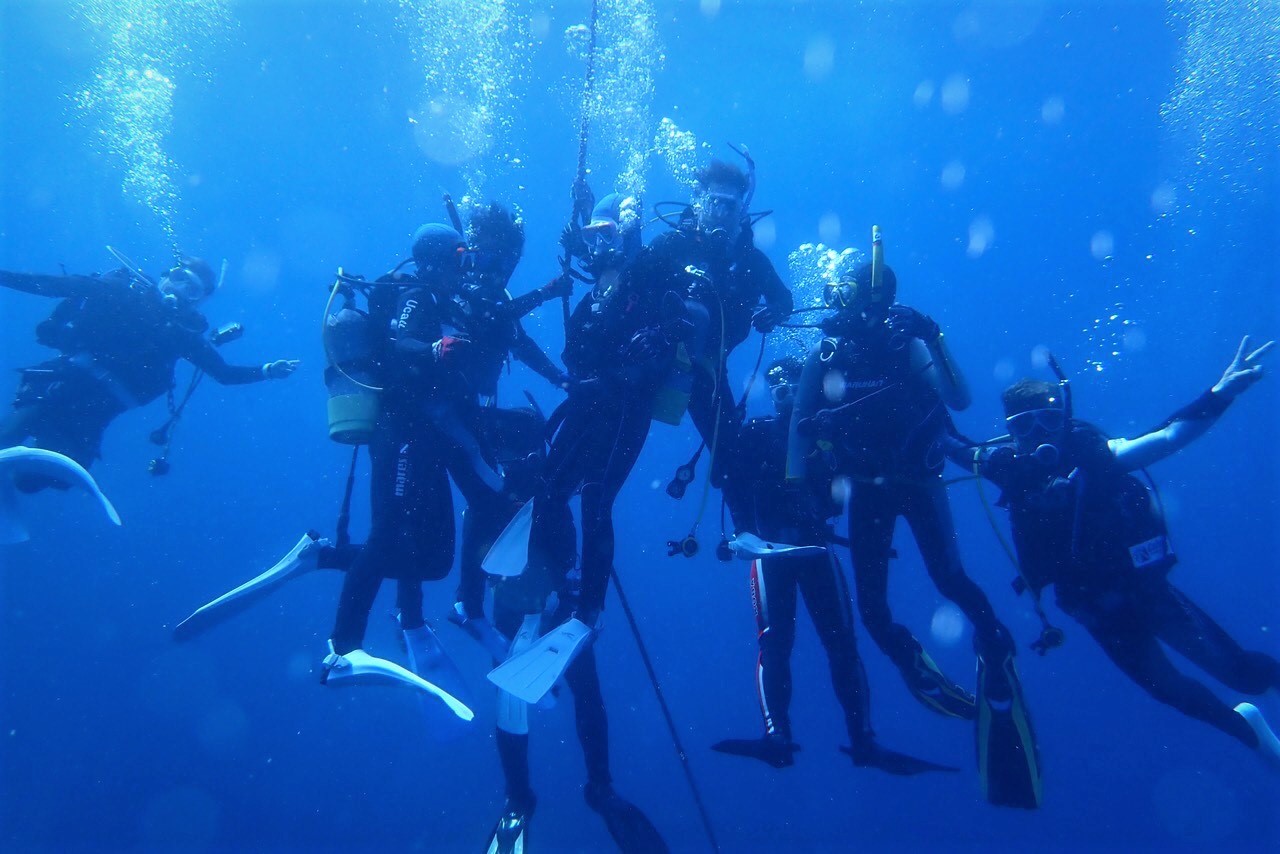 WanderVogel（ボランティアサークル） | 至学館大学 至学館大学短期大学部