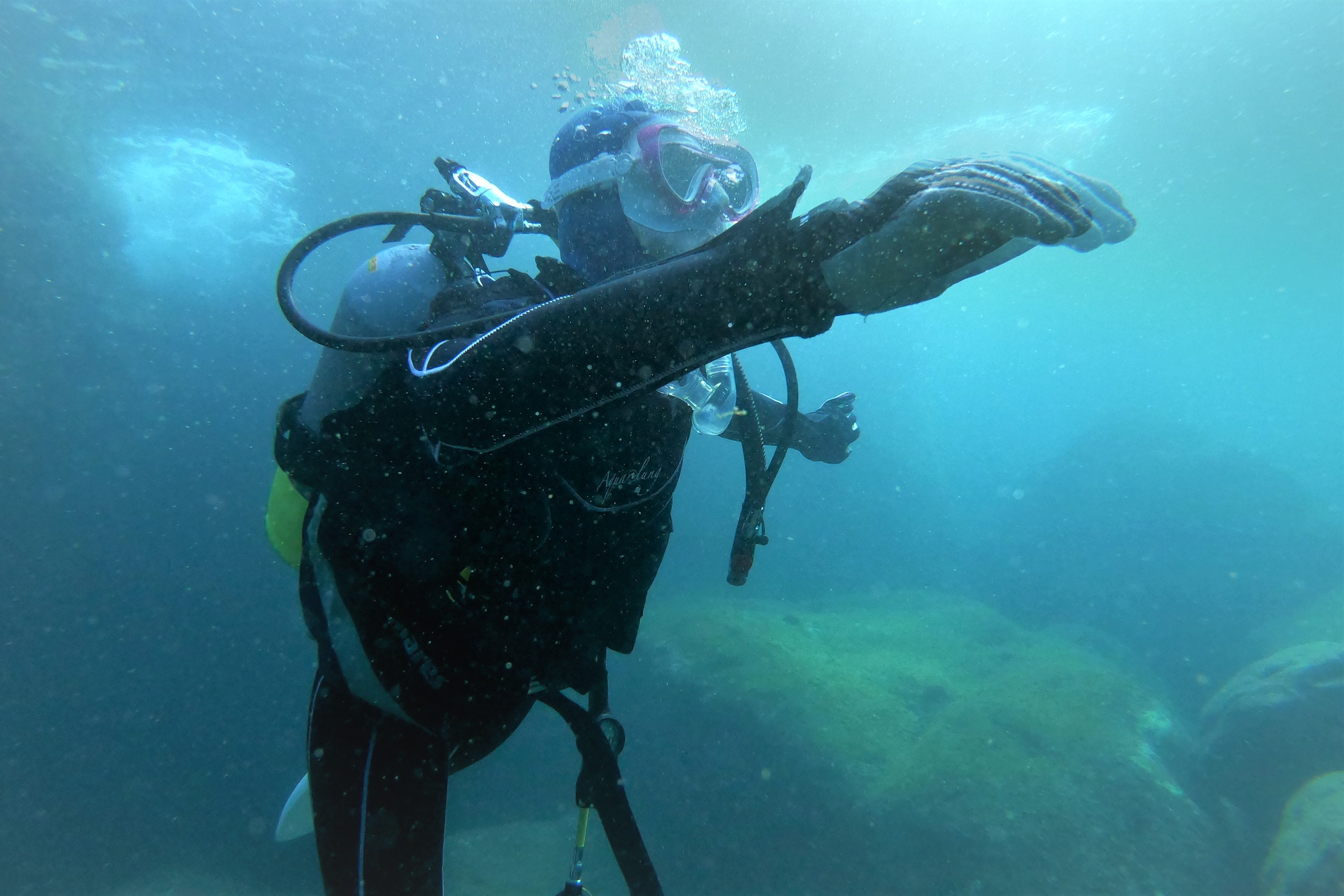 WanderVogel（ボランティアサークル） | 至学館大学 至学館大学短期大学部